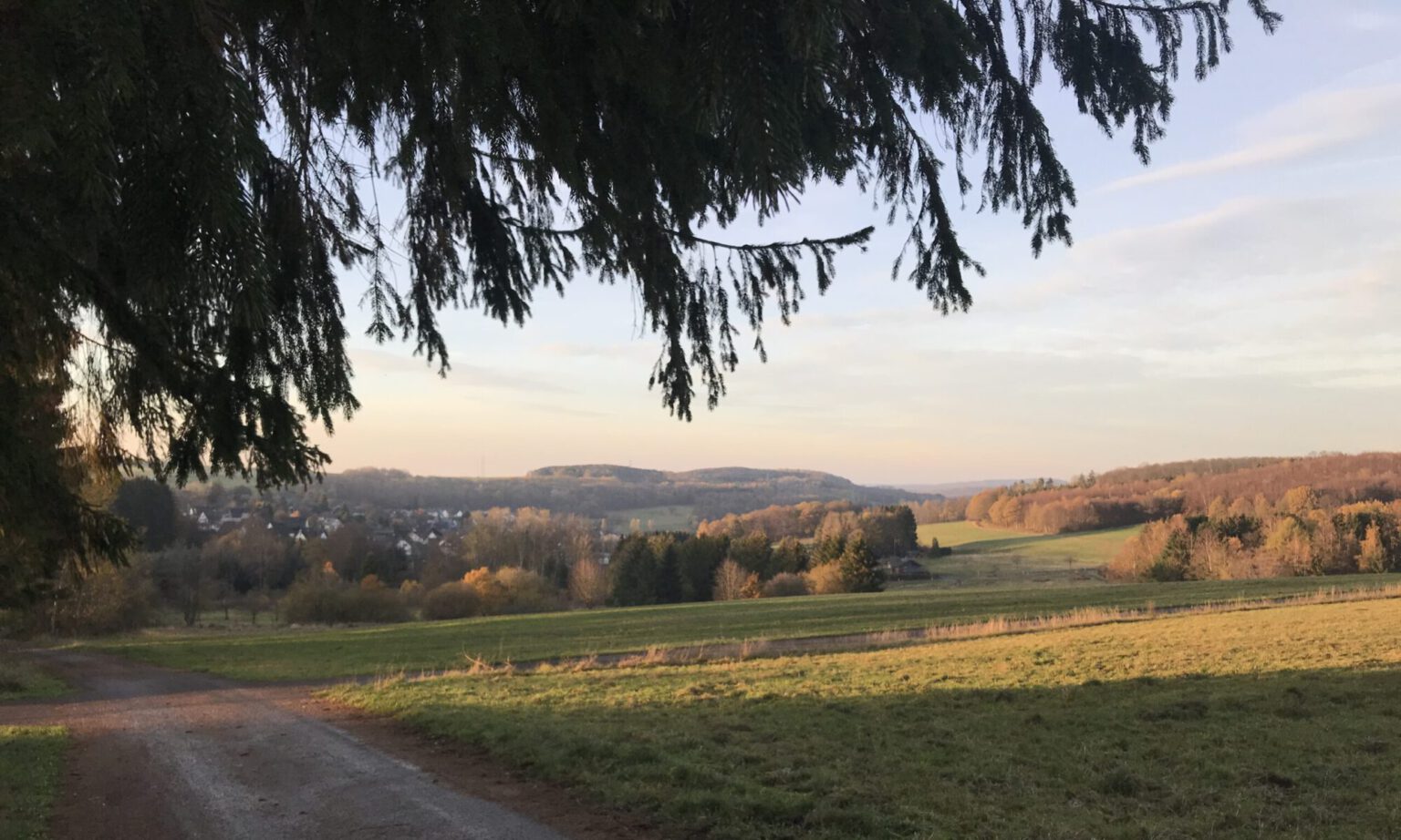 Die Ortsgemeinde – Friedewald im Westerwald